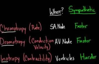Difference between Inotropic, Chronotropic and Dromotropic | Inotropic ...